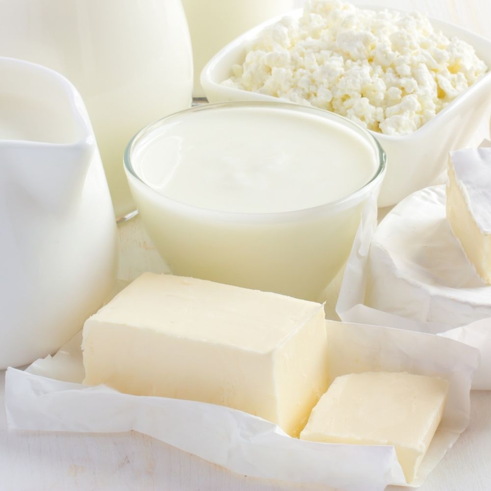 PROSOLV SMCC 50 North America - Silicified Microcrystalline Cellulose ...